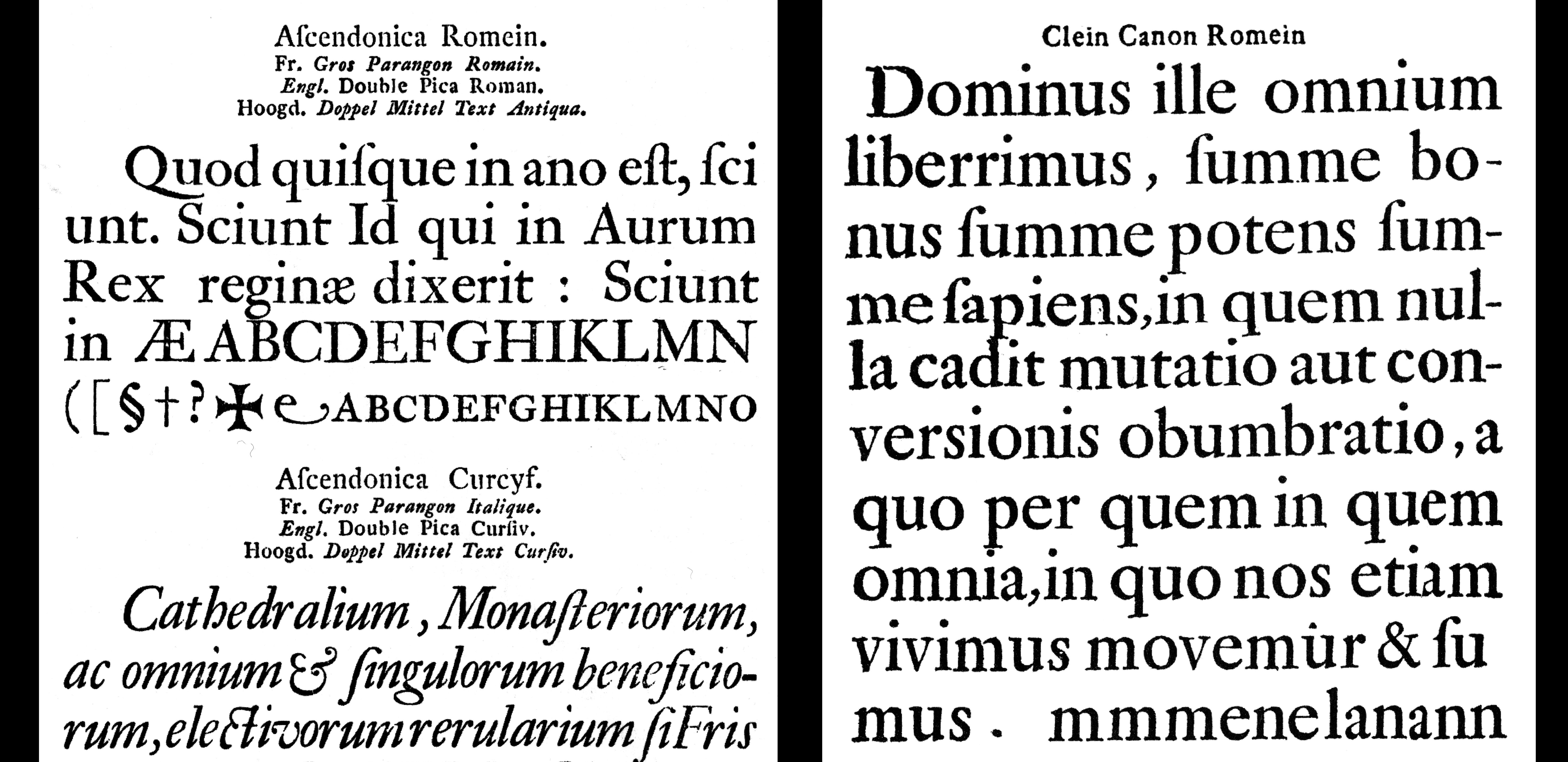 latin typeface